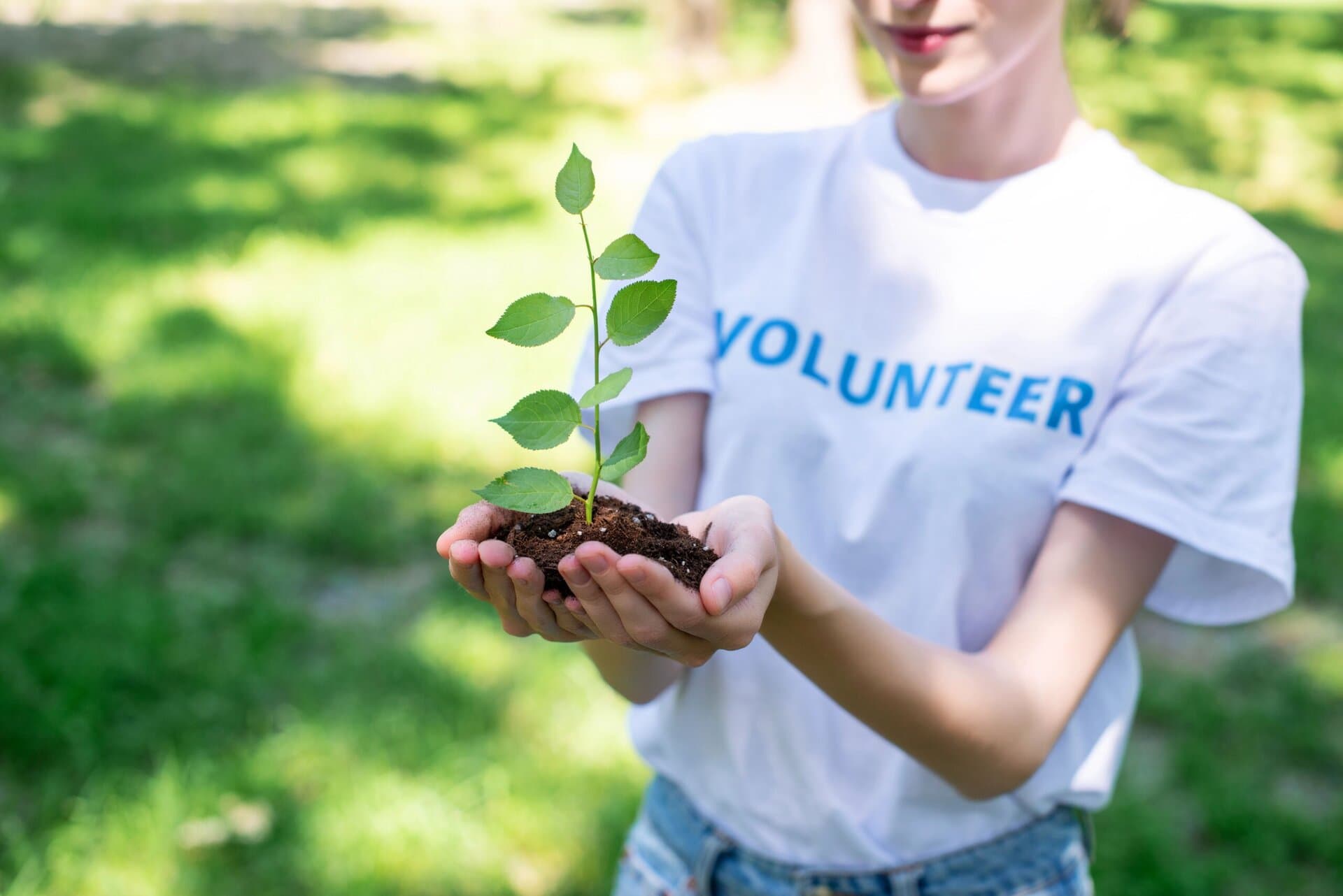 Volunteer | Pearle L. Crawford Memorial Library